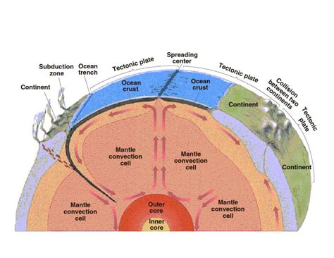 Lithospheric Plates Move Because Of Convection Current In The Mantle At