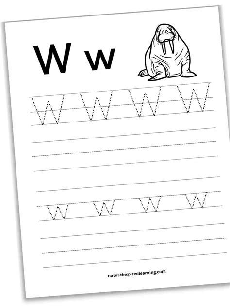 Letter W Tracing Worksheets Preschool Letter W Preschool Printables