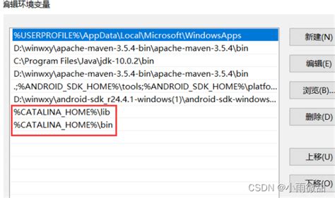 Apache Tomcat 10023下载配置和idea配置apache Tomcat 10023 Windows X64的配置