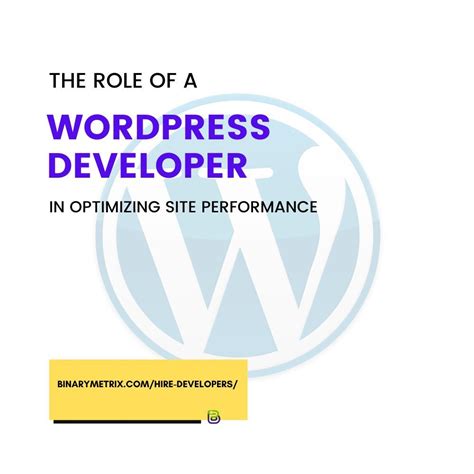Binarymetrix Technologies Pvt Ltd On Linkedin Wordpressdeveloper