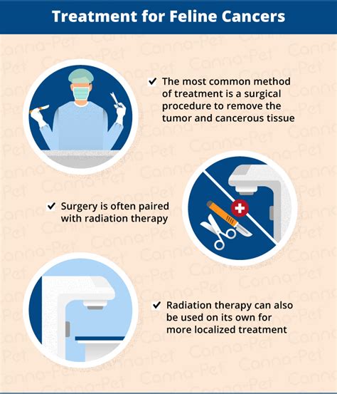 Cancer In Cats Causes Symptoms Treatments Canna Pet