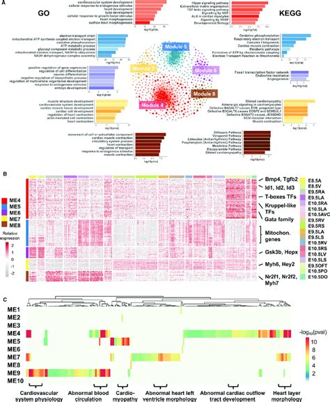 Enrichment Analysis Of Genes In Selected Modules A The Top 7