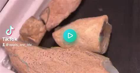 My Small Collection Of Opalized Belemnite Fossils Album On Imgur