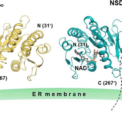 Workflow Of Structure Based Drug Design Sbdd Download Scientific Diagram