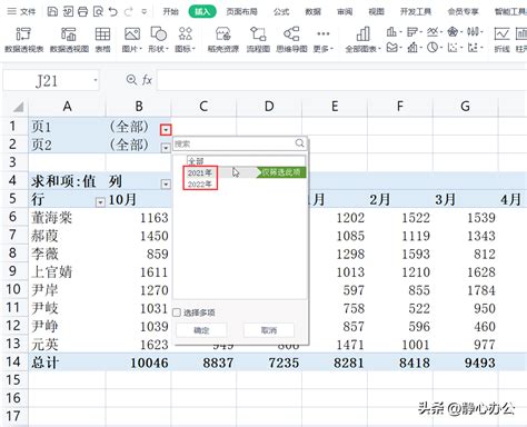 Wps表格：多数据源创建多页字段数据透视表案例解析 正数办公