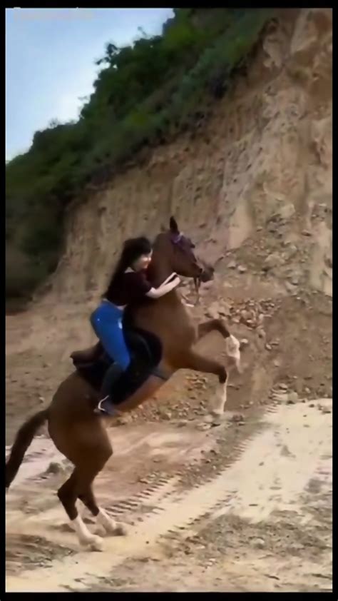 Ngentot Cewe Cindo Suka Goyang Diatas