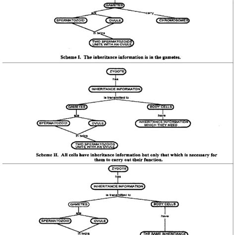 Pdf Research Report Teaching Of Biological Inheritance And Evolution Of Living Beings In