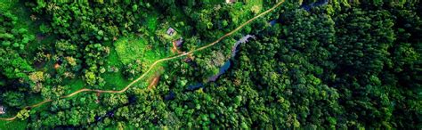 Classics Hidden Gems In Sri Lanka Days Incl Flights Hotel