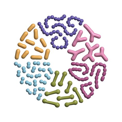 D는 건강한 프리바이오틱 바실루와 함께 좋은 미생물상을 원형으로 만든 프로바이오틱 박테리아 유형을 렌더링합니다 프리미엄 사진