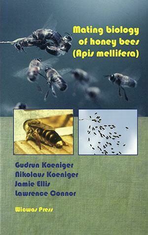 Mating Biology Of Honey Bees Book Apis Mellifera