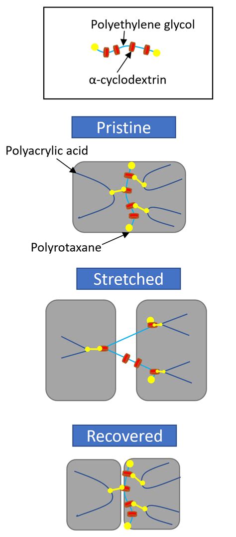Polyrotaxane Binders For Silicon Anodes In Li Ion Batteries