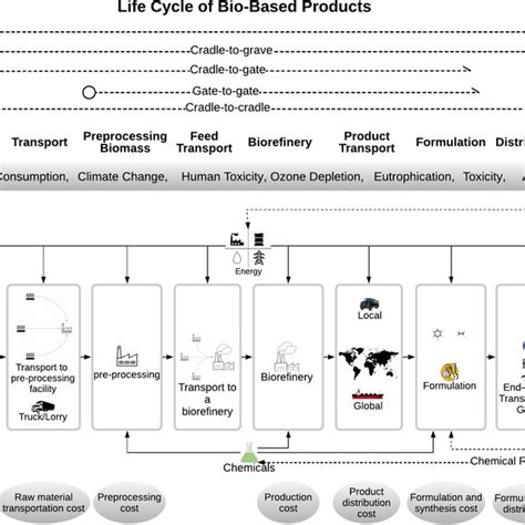 Hefa Process For The Production Of Jet Fuel From Oily Biomass