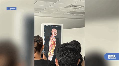 Ha Crecido Hasta Un Límite El Cues De Uabc En Zona Río El Mexicano