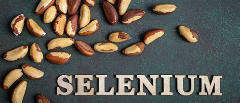 How Much Selenium Do You Need Per Day Manual