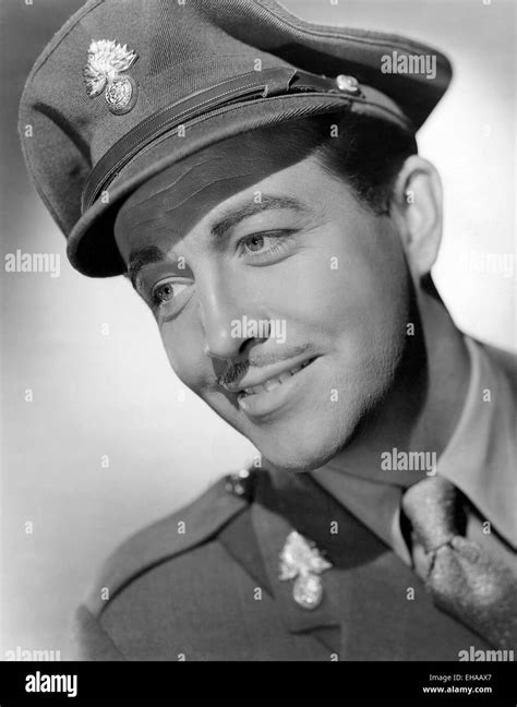 Robert Taylor Movies