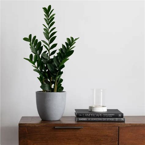 Árvore Artificial Para Decoração