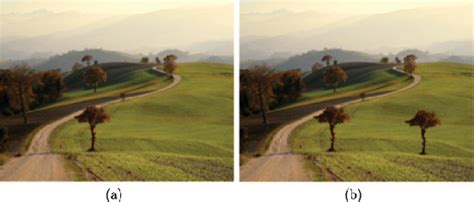 Figure 10 From A Unified Approach For Copy Move Forgery Detection Using