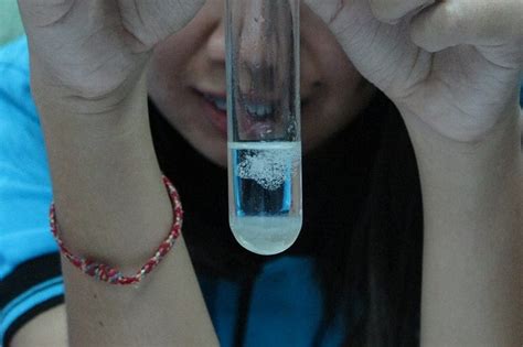 Can You Extract Dna From Cells At Home Scienceabc