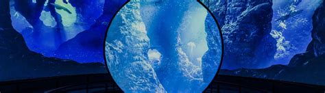 원형 Led 디스플레이 원형 Led 스크린