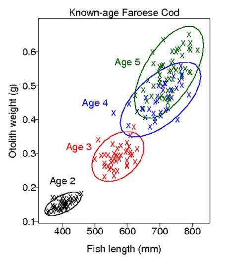 Relationship Between Otolith Weight And Otolith Length In Wild Cod Of