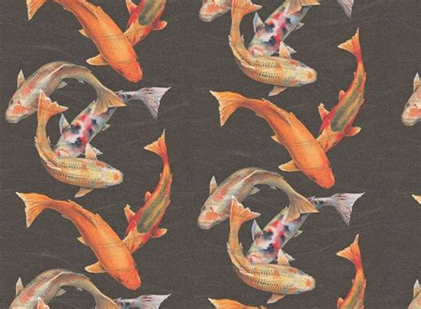Koi Carp Wallpaper For Walls 810x597 Wallpaper