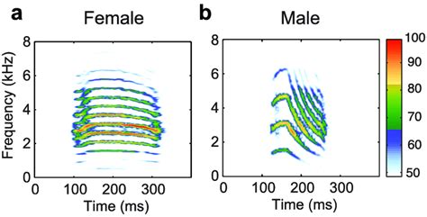 Spectrograms Of A Female A And Male B Distance Call Recorded At 2
