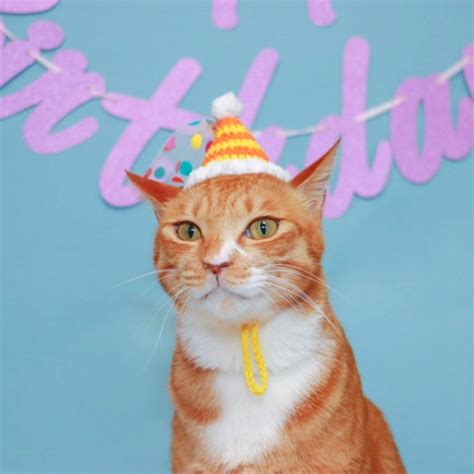 마하루네 무지개 생일선물 Set 위시버킷