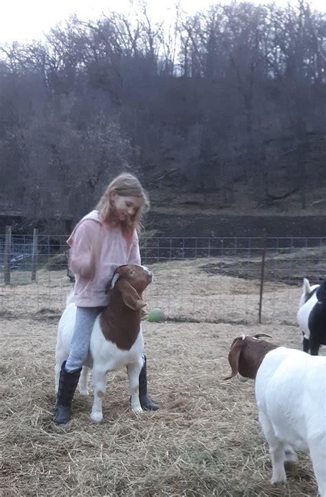 🤣 Silly Girl Silly Goat Odd Barn Farm Boer Goats