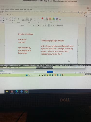 AP Exam Flashcards Quizlet AP Exam Flashcards Quizlet