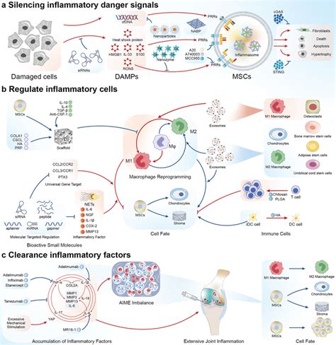 Designing Materials That Can Guide Stem Cell Fate A Silencing The