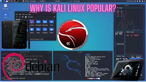 Why Is Kali Linux Popular Exploring The Advantages DenizHalil Professional Cybersecurity