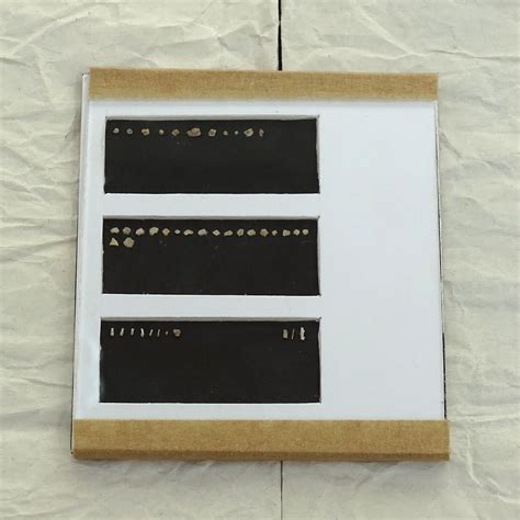 Microfossil Slides Ii Making Slides