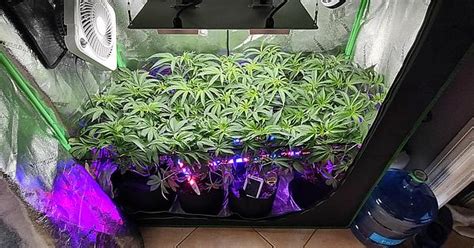 G33 Batch Two With Under Lighting Album On Imgur