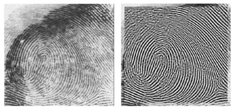 1 2 fingerprint image a before performing fft and b after performing