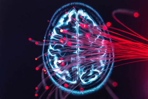 Neuroscientists Are Ignoring The Differences Between Males And Females