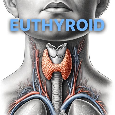 Dr Mehreen N Khan Mdabaarm Dip Board Certified Physician In Anti