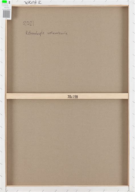 Dorota Kwiatkowska Parallel Setting 2021 Mutualart