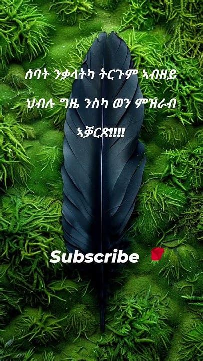 eritrean eritreanmusic habesha eritreancomedy eritreanews eritreanfilm eritreanmovie