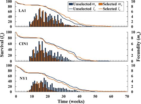 Survival Lx Left Axis And Curve And Fecundity Mx Right Axis And