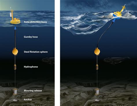 Moorings And Buoys Woods Hole Oceanographic Institution