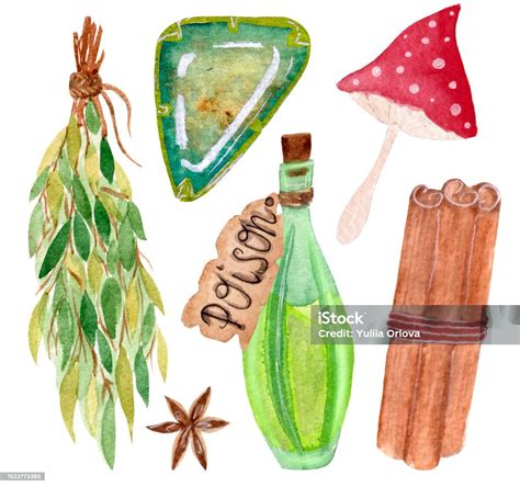 할로윈을 위한 수채화 마녀 컬렉션입니다 다양한 식물과 허브 독병 흰색 배경에 격리된 보석 0명에 대한 스톡 벡터 아트 및 기타 이미지 Istock