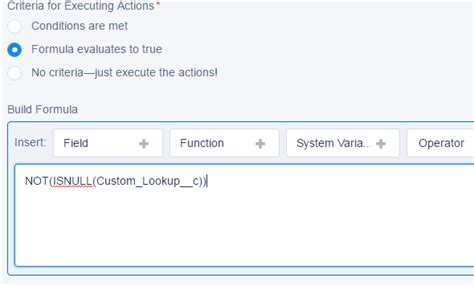 Flow Check If Lookup Field Is Not Null In Process Builder