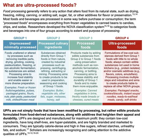Nova Food Classification System Overview