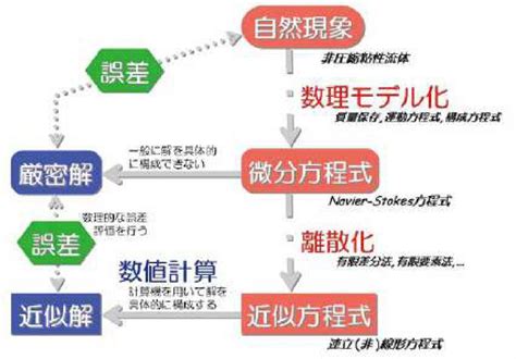 数値シミュレーションによる現象の理解 九州大学 マス・フォア・インダストリ研究所