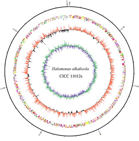 Circular Genome Map Of H Alkalicola Cicc 11012s From Inner To Outer Download Scientific