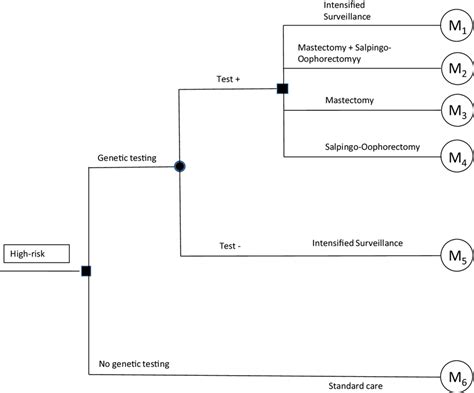Decision Model That Shows The Test No Test Strategies And A Womans Download Scientific Diagram