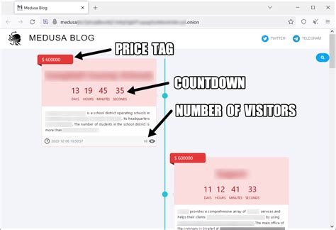 Medusa Ransomware A Sinister Evolution In Cyber Extortion