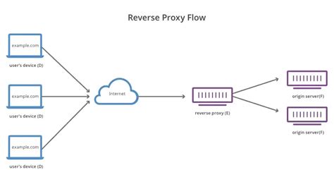 forward proxy reverse proxy