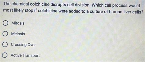 Solved The Chemical Colchicine Disrupts Cell Division Which Cell