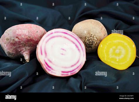 Root Beet Beta Vulgaris Cut Through Turnip White And Yellow